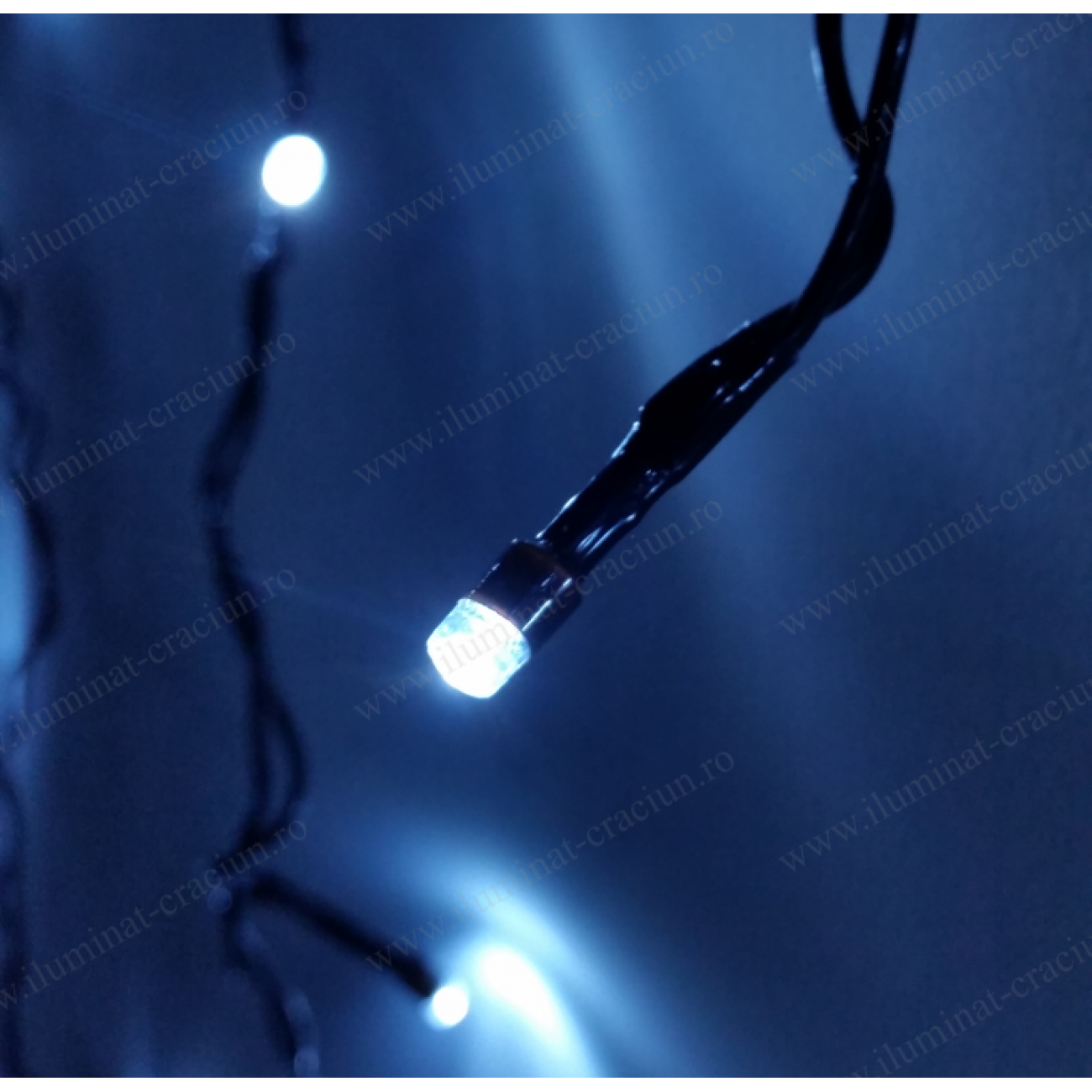 Instalatie Streasina Sir 300 Led Alb Rece 750x50cm Fir Negru Interior